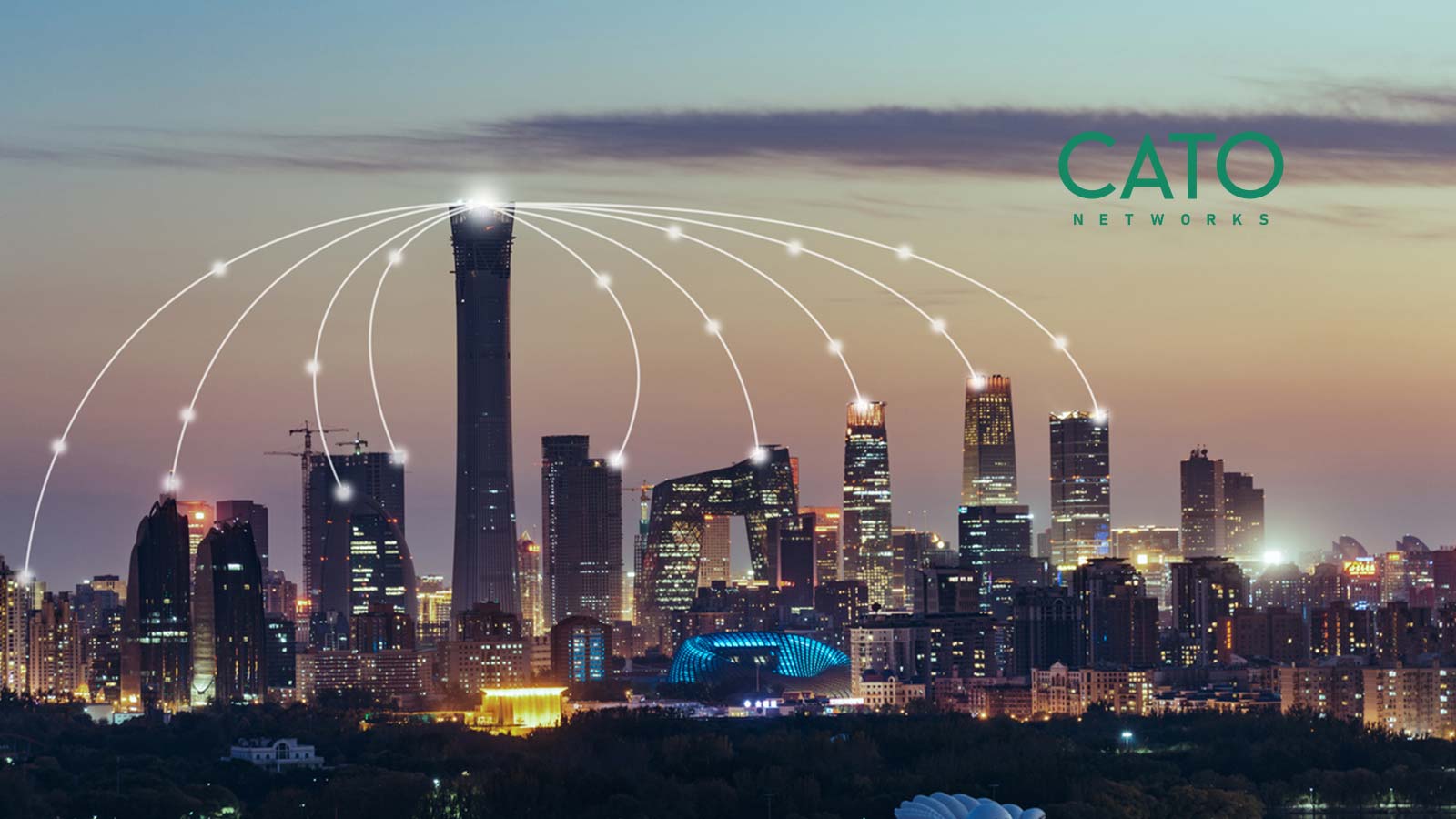 Addie Finch Joins Cato Networks as AVP of Channel Resellers and ...