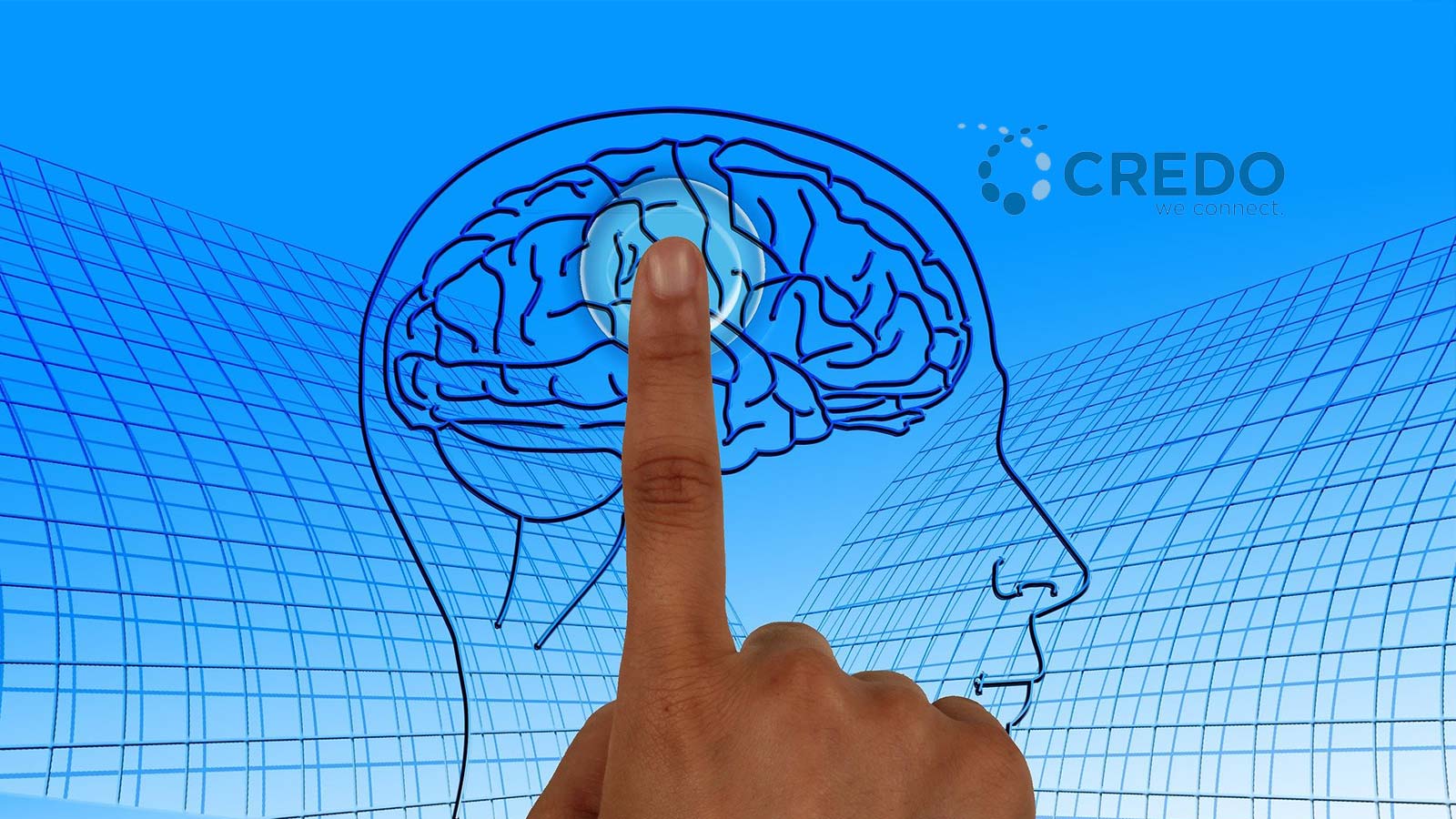 Credo Announces First Offering of 800G HiWire Active Electrical Cables ...