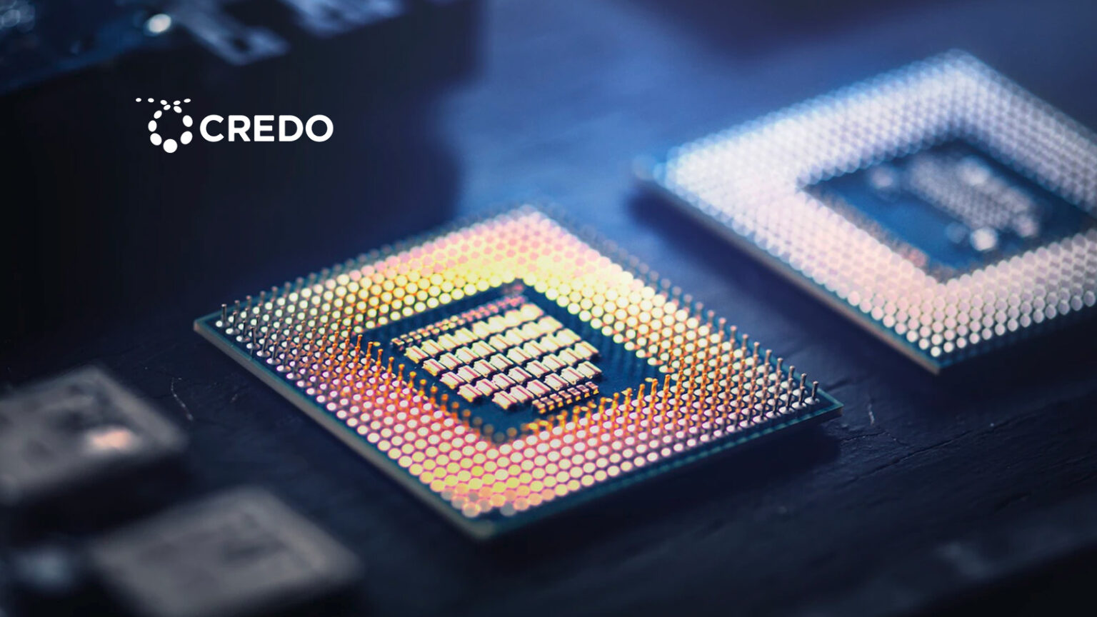 Credo Introduces 800Gbps and 400Gbps Optical DSP