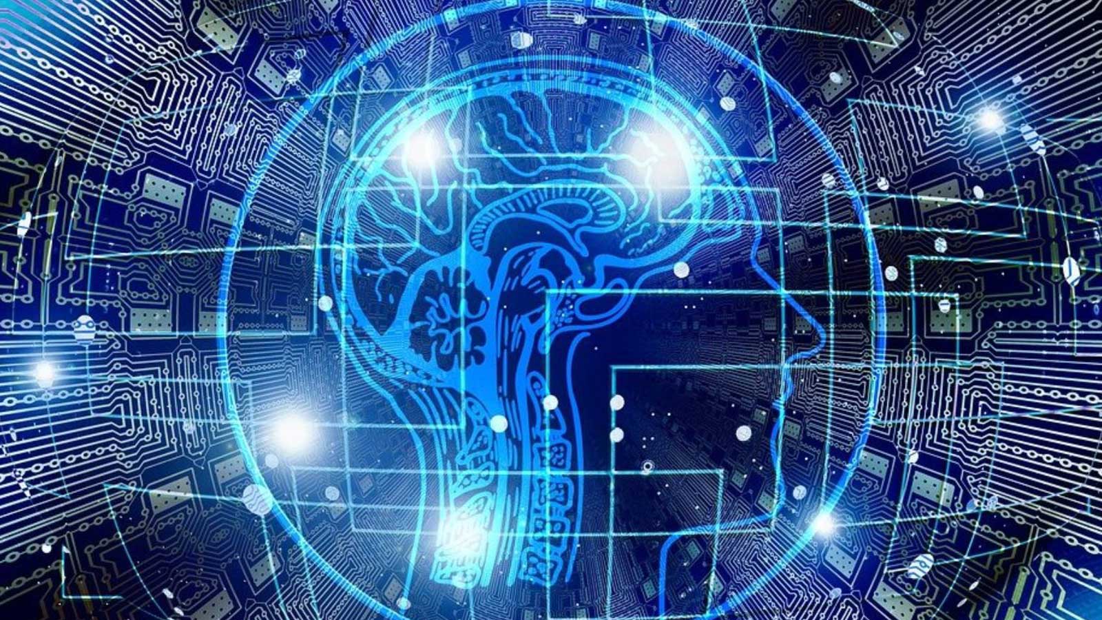 Hayel Saeed Anam Group and SAP Celebrate the Graduation of the Second ...