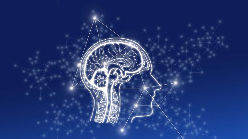 Medius AP Automation Achieves SAP Certification as Integrated With SAP ...