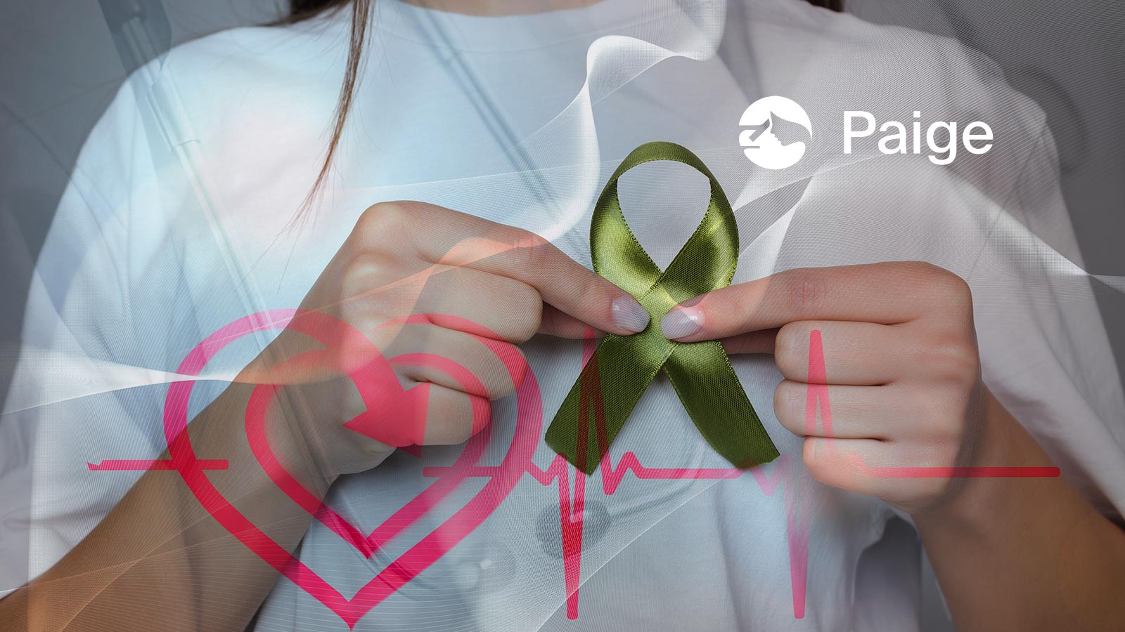 Paige Launches AI Software to Enable Accurate and Efficient Detection ...