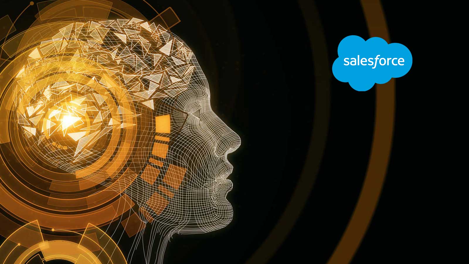 Salesforce Launches Policy Development Kit to Help Developers Customize ...