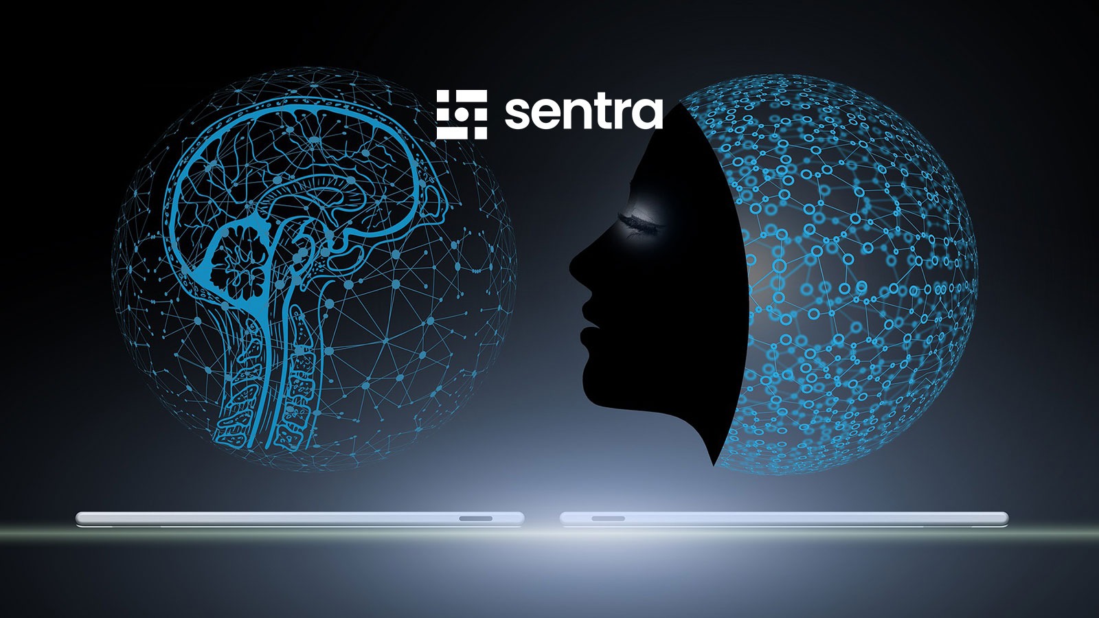 Sentra Announces Industry-First Generative AI Assistant for Cloud Data ...