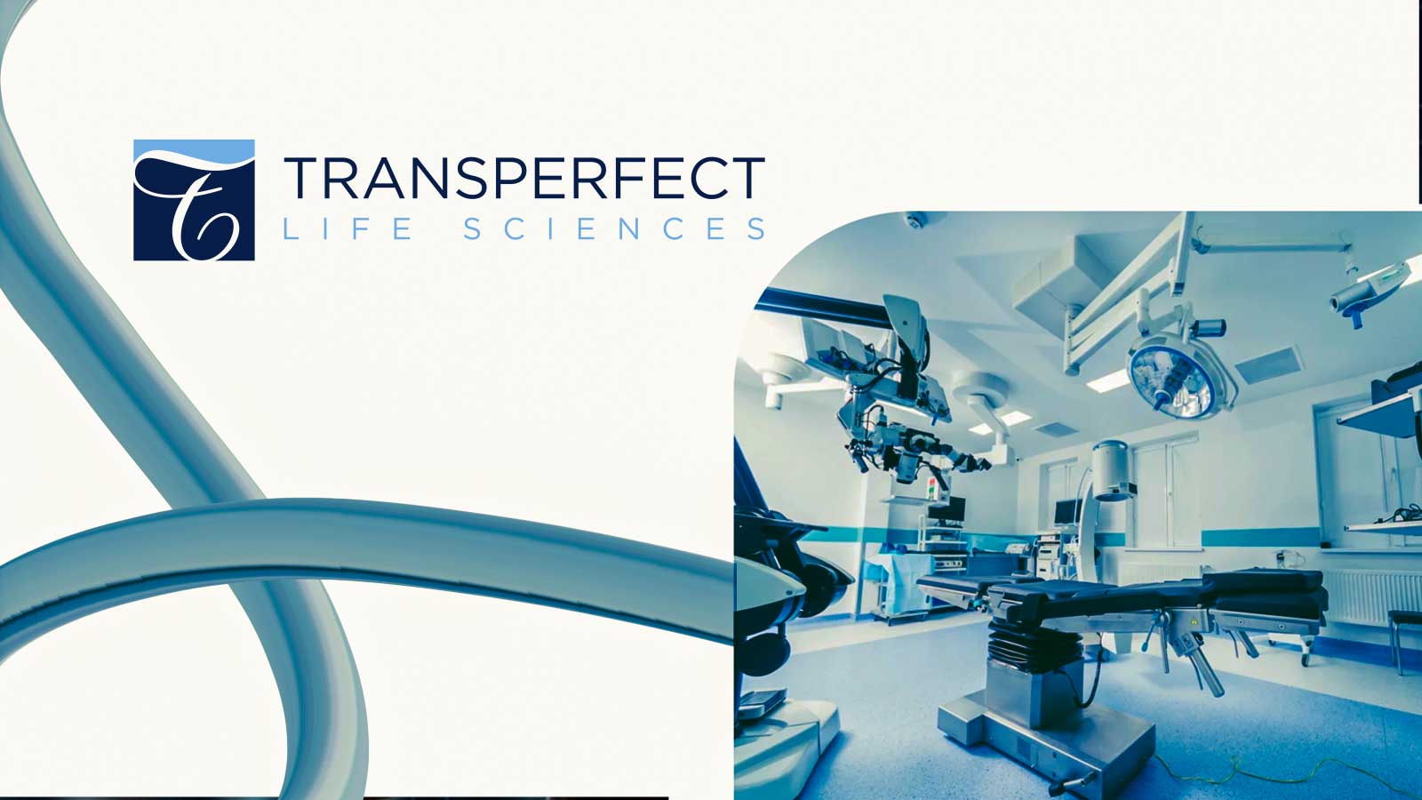 TransPerfect Announces First Integrated Translation Solution for ...