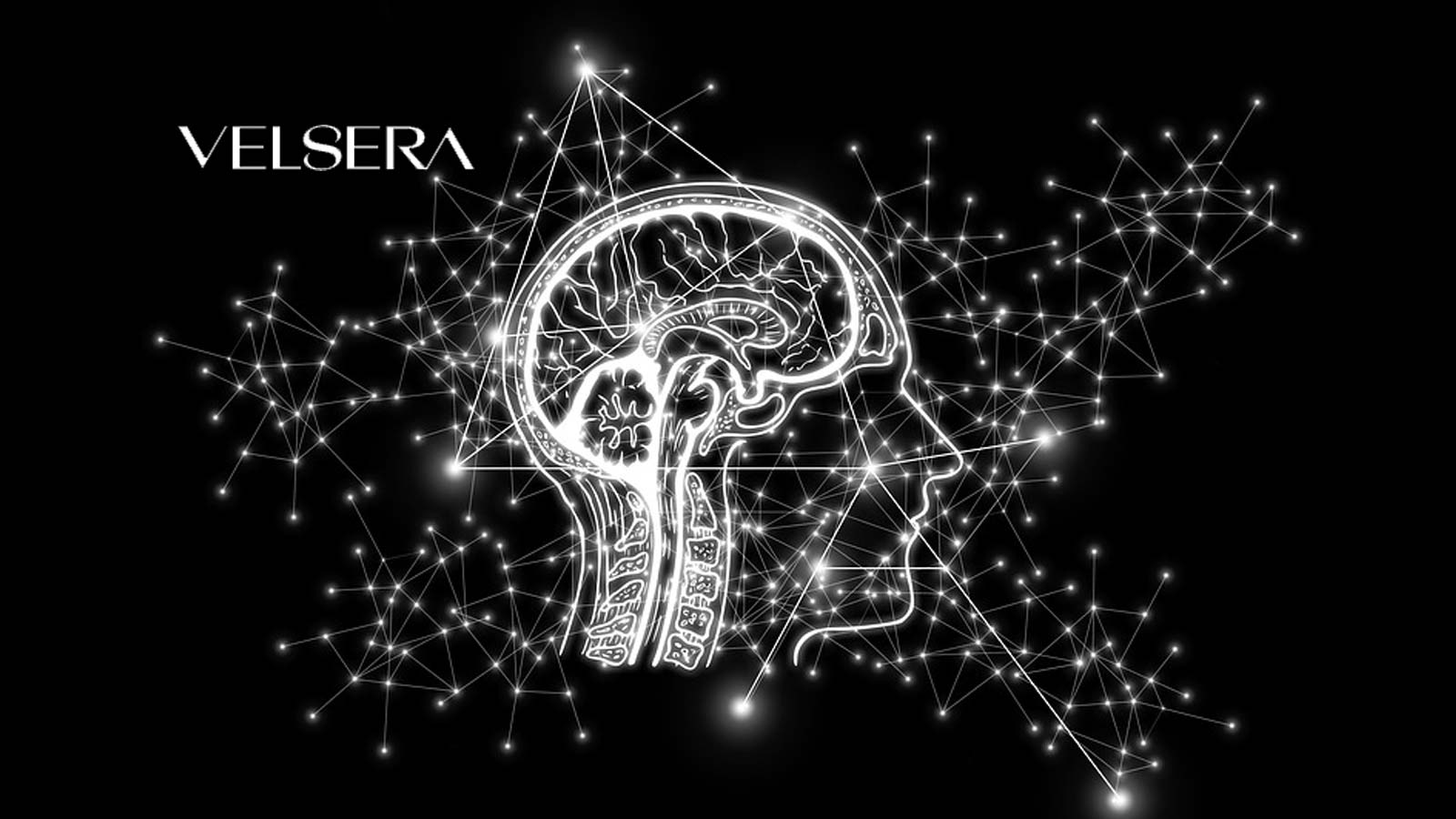 Velsera Makes NVIDIA Parabricks Tools Available for Global Researchers ...