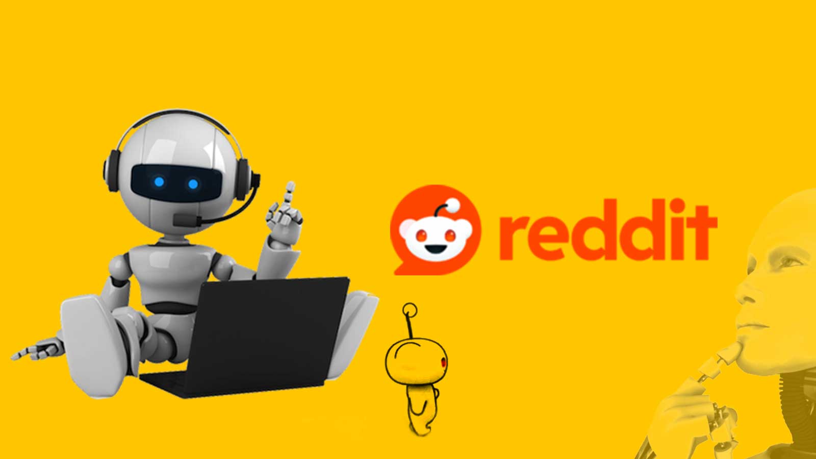 Discover the Potential of $RDDT Meme Fan Token inspired by the Upcoming ...