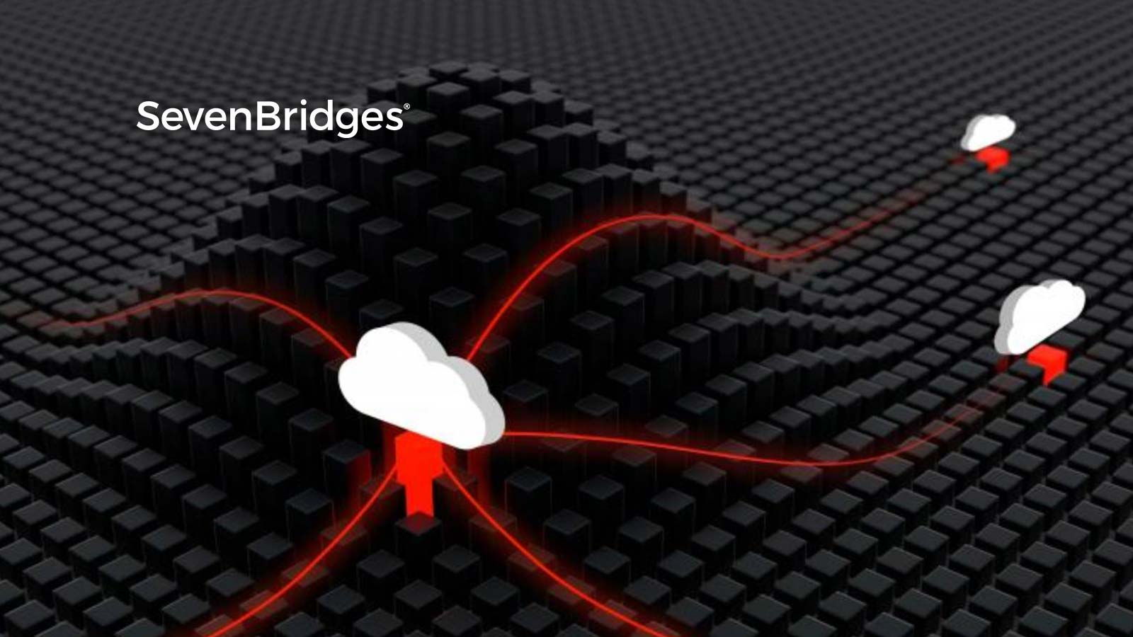 Seven Bridges Collaborates With University Of São Paulo And Google ...