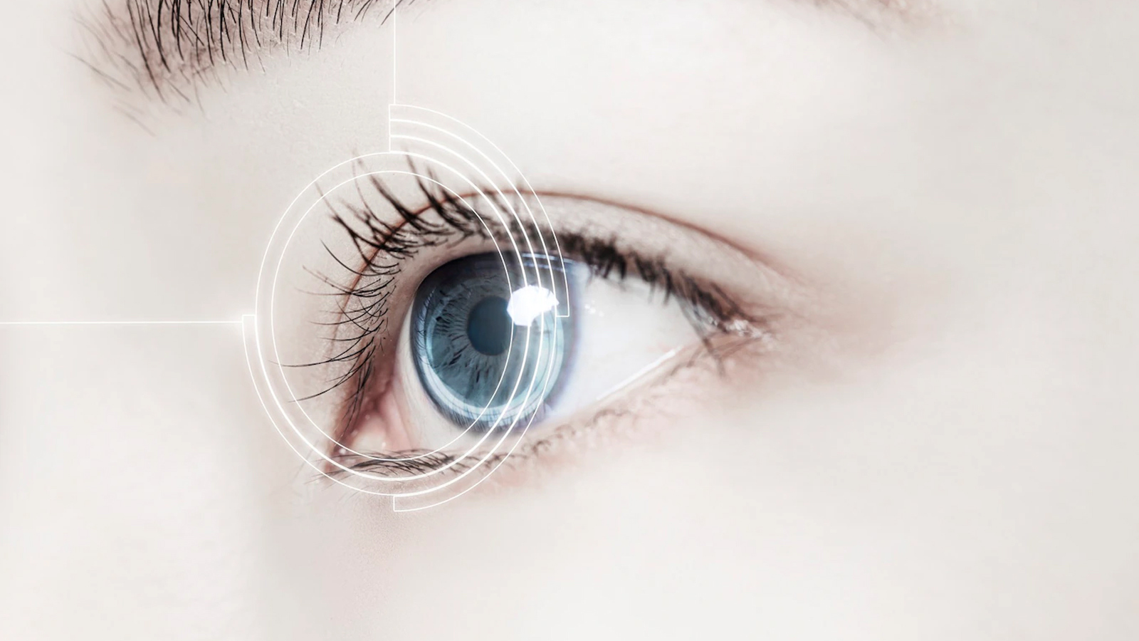 Processor Technology Startup NeoLogic Raised an $8 Million Seed Round ...