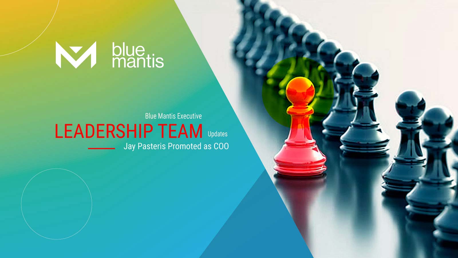 Blue Mantis Executive Leadership Team Updates: Jay Pasteris Promoted as COO