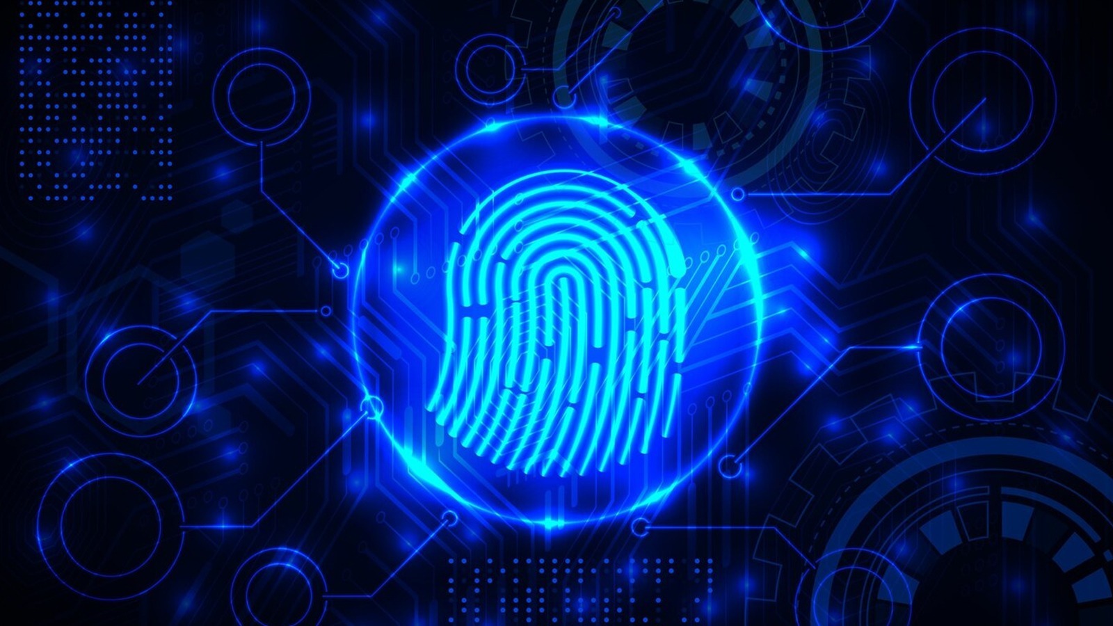 Immersive Appoints New C-Level Product and Technology Leaders to ...